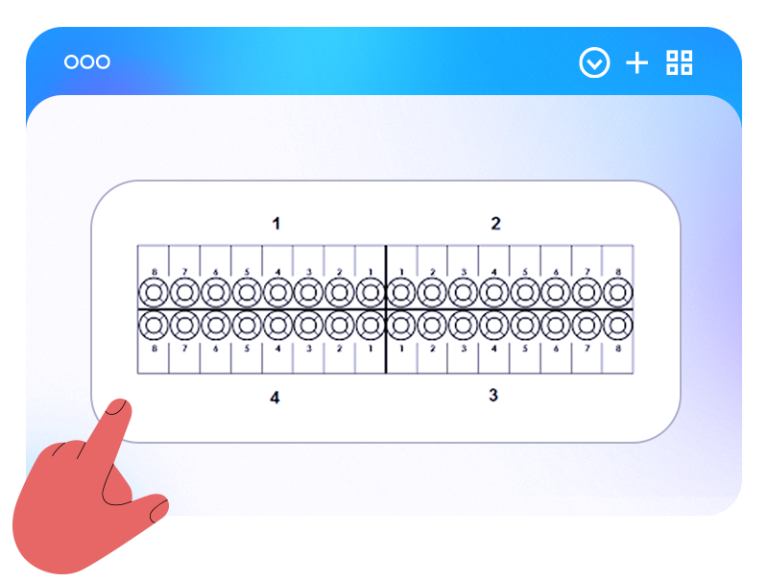 Odontograma anatômico
